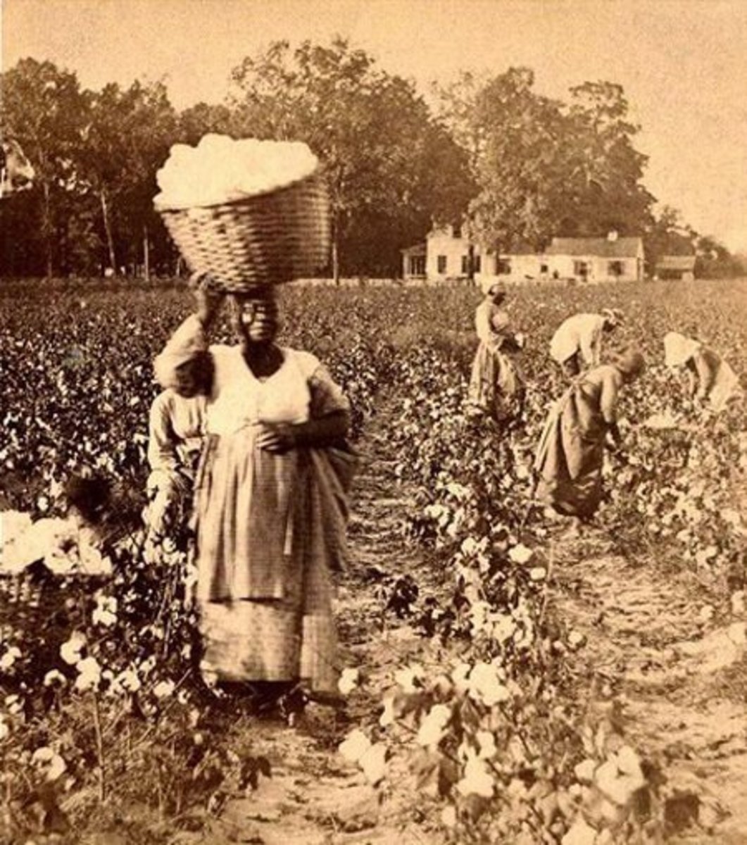 The Middle Passage - LA Progressive