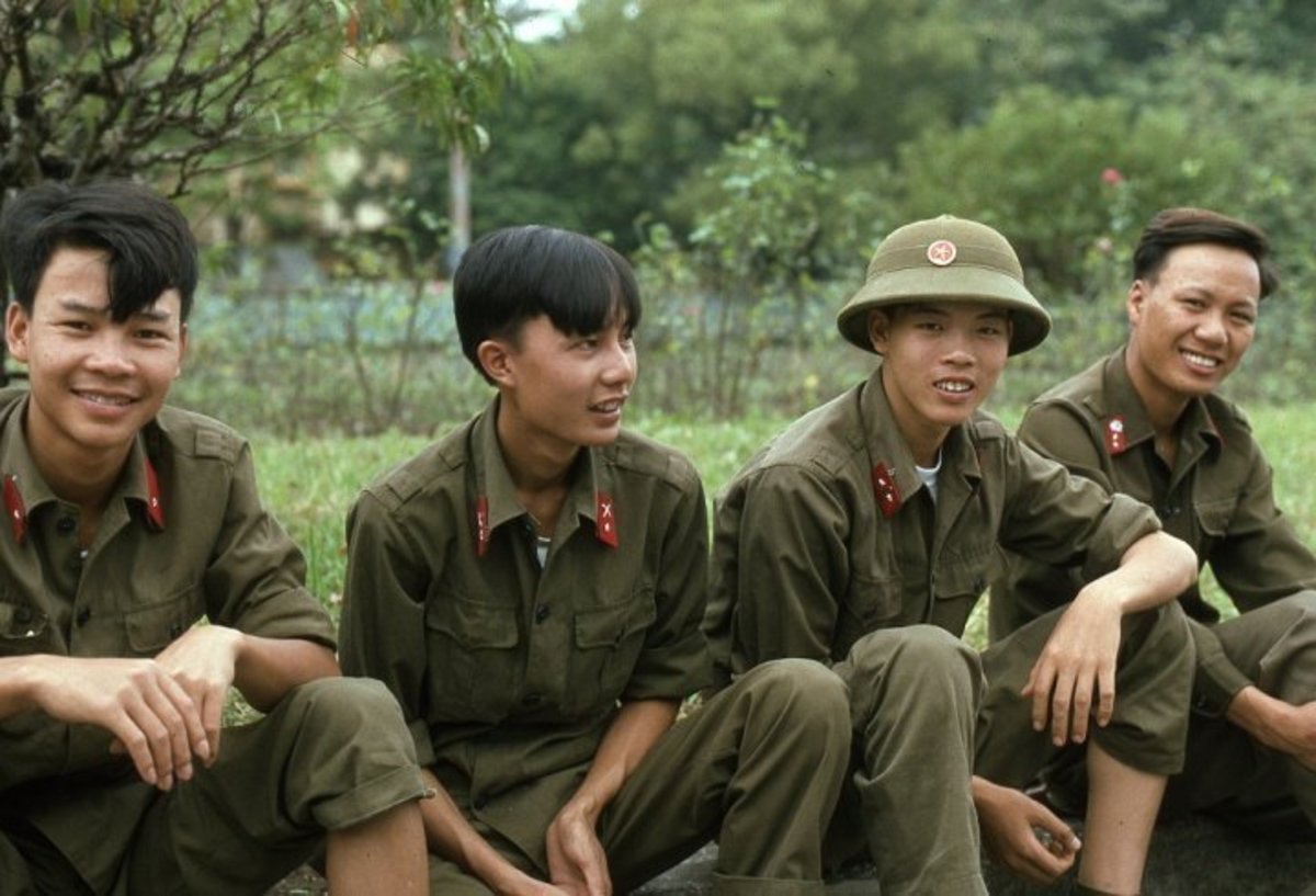 Deep Country, Bats, the Riot of Life in Viet Nam’s Cities - LA Progressive